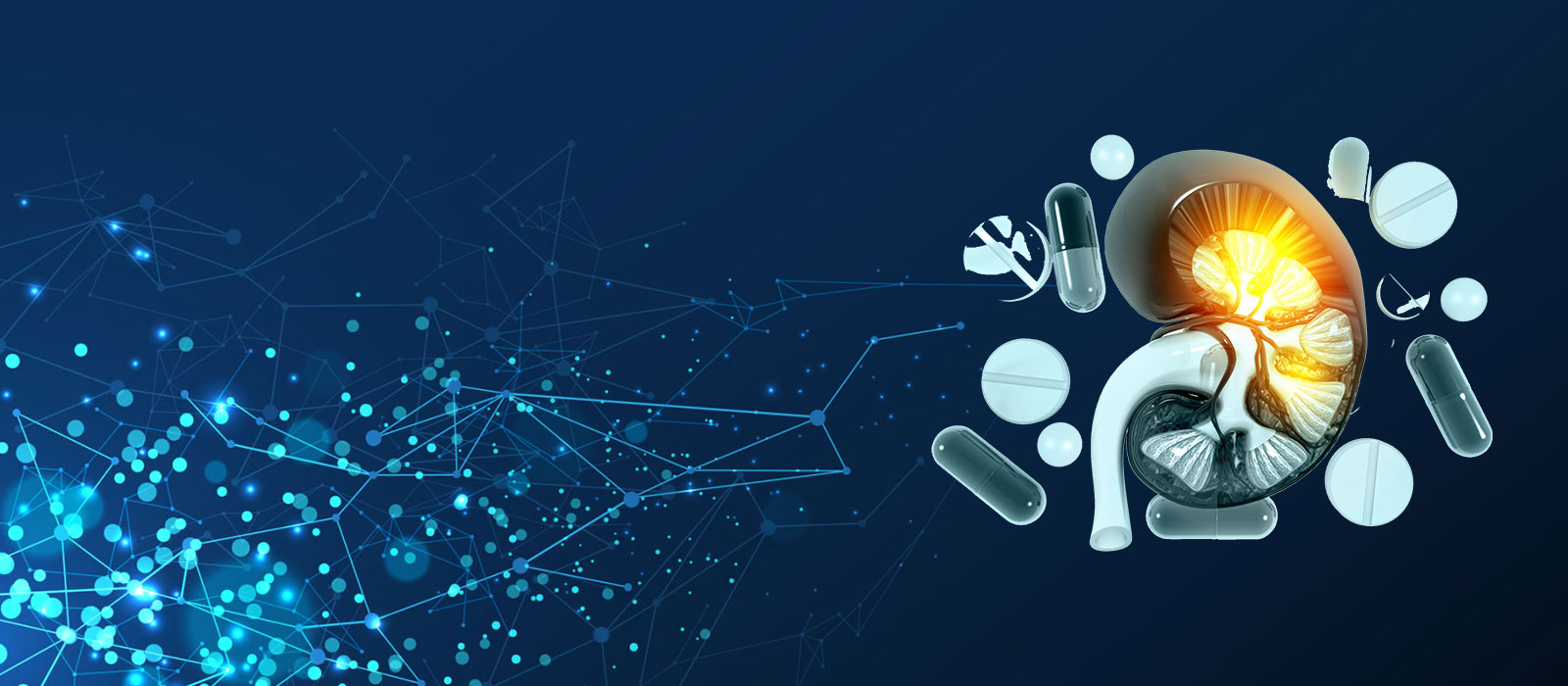 DIALYSIS - Bright Kidney