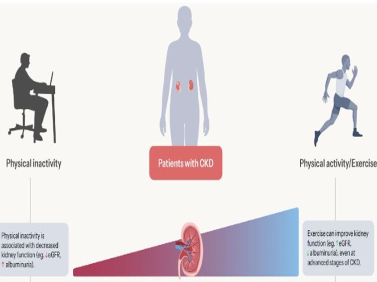 Diet and Exercise to Prevent Kidney Disease